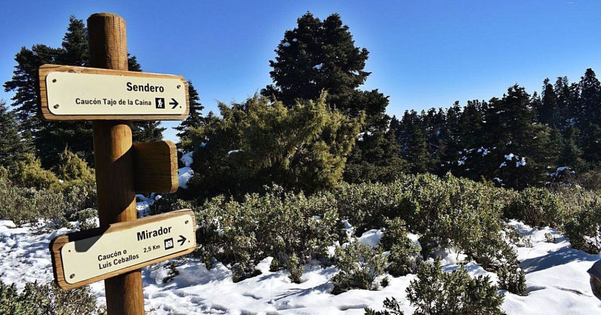 Ojén Spain Guide: Hiking, Culture & Cuisine Near Marbella